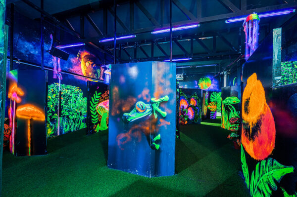 Laser Tag in Bangalore from ₹499 | Torq Arena Marathahalli